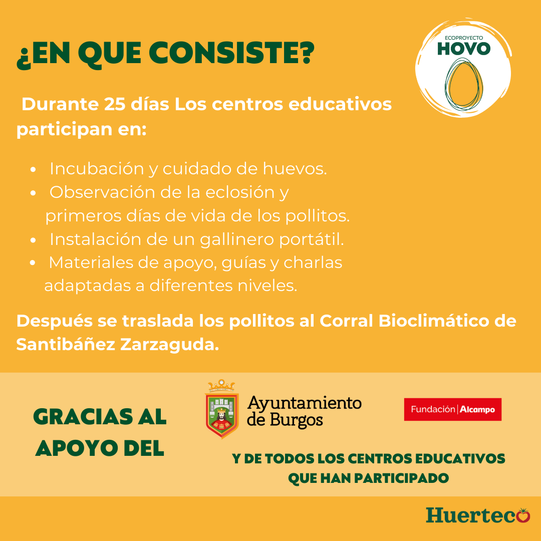 Descubre la Evolución del Ecoproyecto Hovo - Huerteco