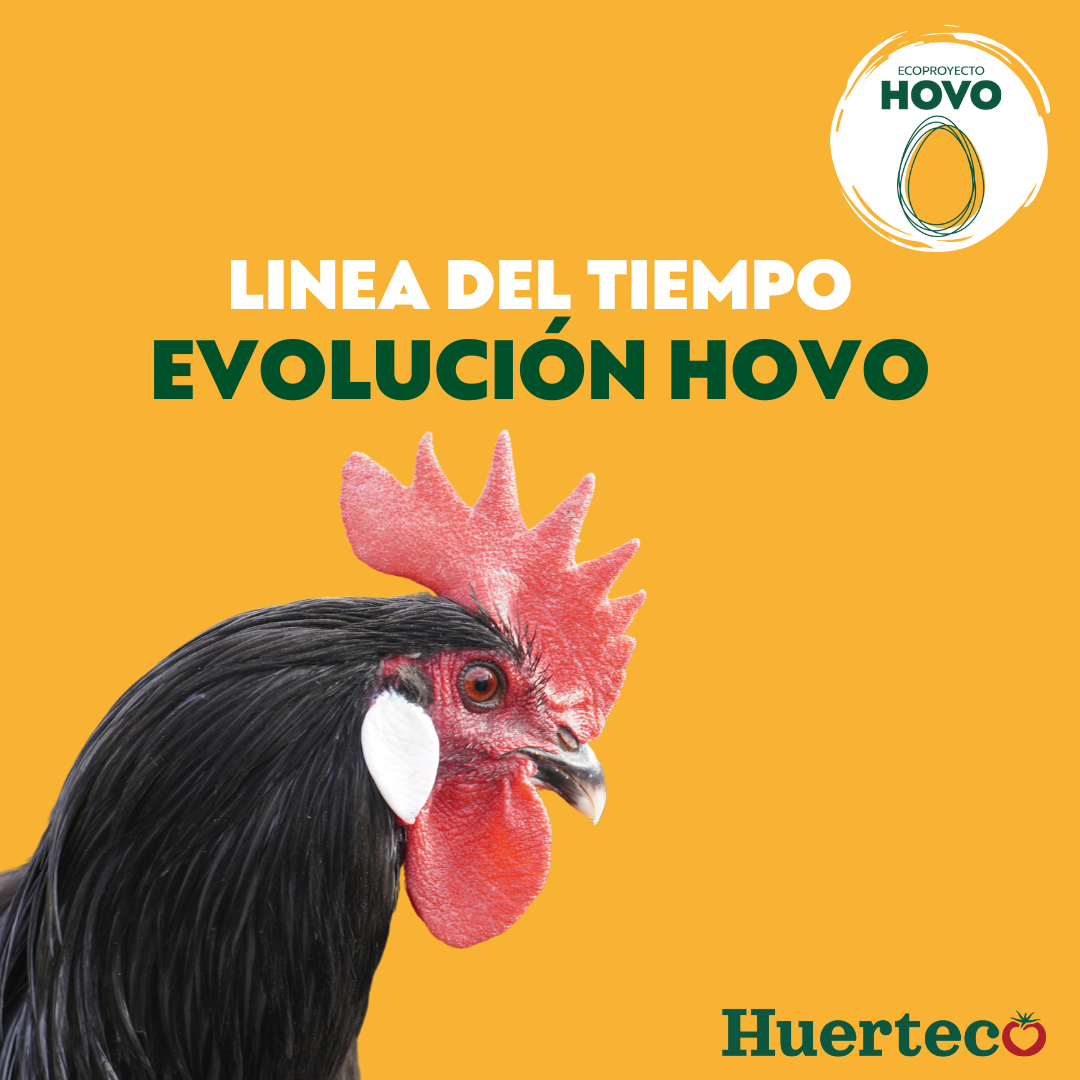 Descubre la Evolución del Ecoproyecto Hovo - Huerteco